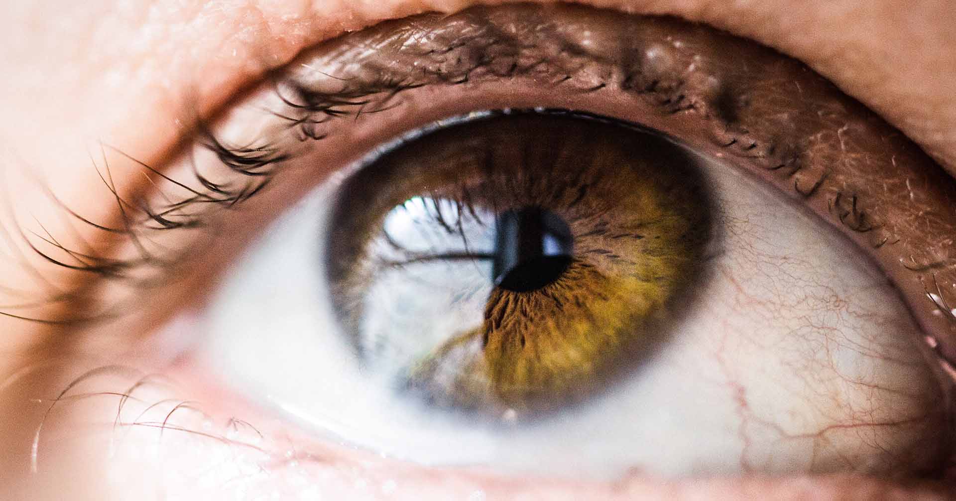 Yoga Per Occhi: I Migliori Esercizi Per La Tua Vista | Twins Optical